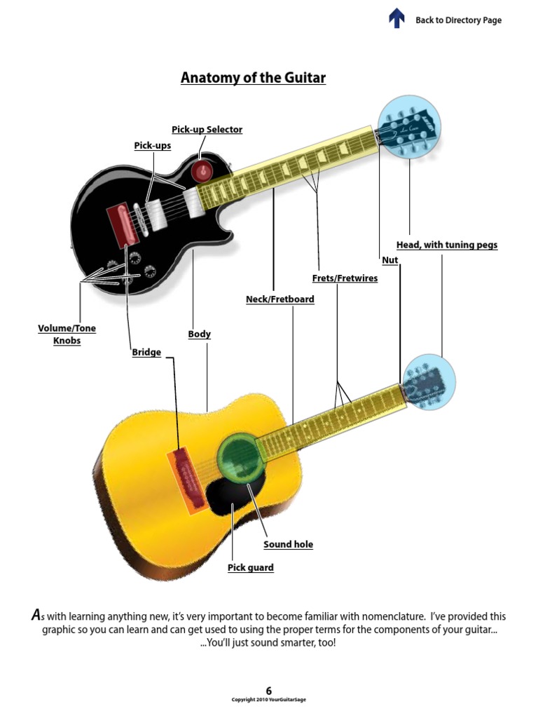 Anatomy of The Guitar PDF | PDF
