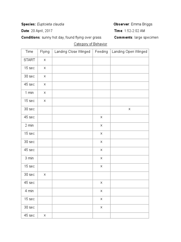 Butterfly Ethogram | PDF