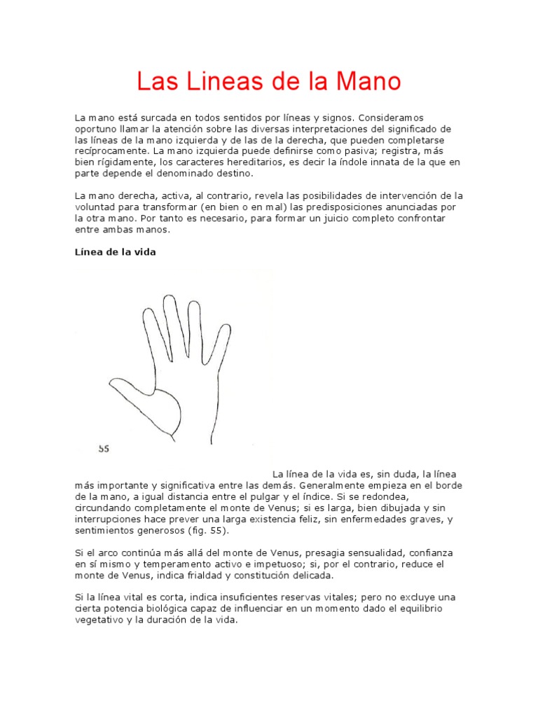 Las Lineas de La Mano | PDF | Vida | Amor