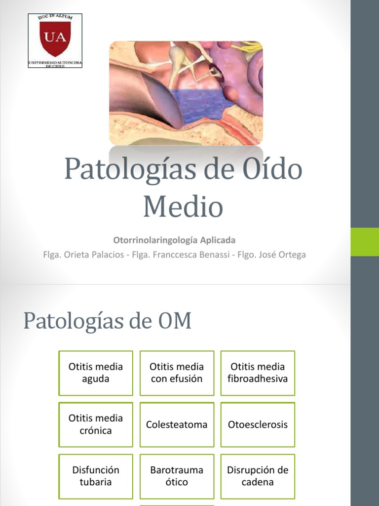 Patologías de Oído Medio PDF | PDF | Sistema Auditorio | Especialidades Medicas