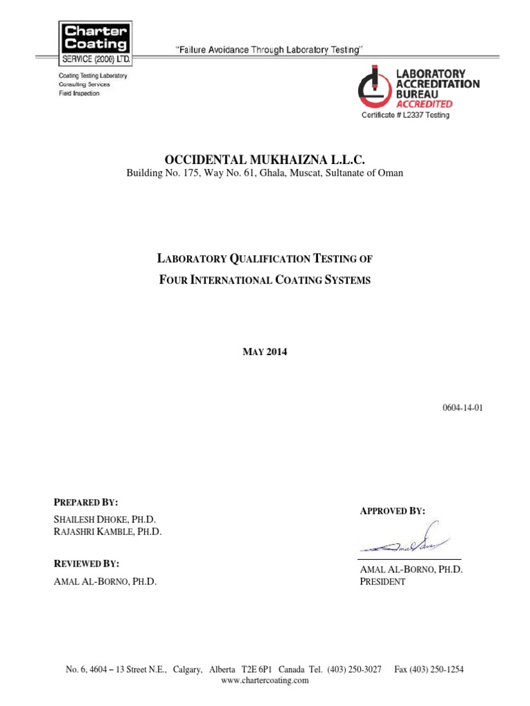 Devchem 253 & 256 Coating Performance Report | PDF | Adhesive | Adhesion