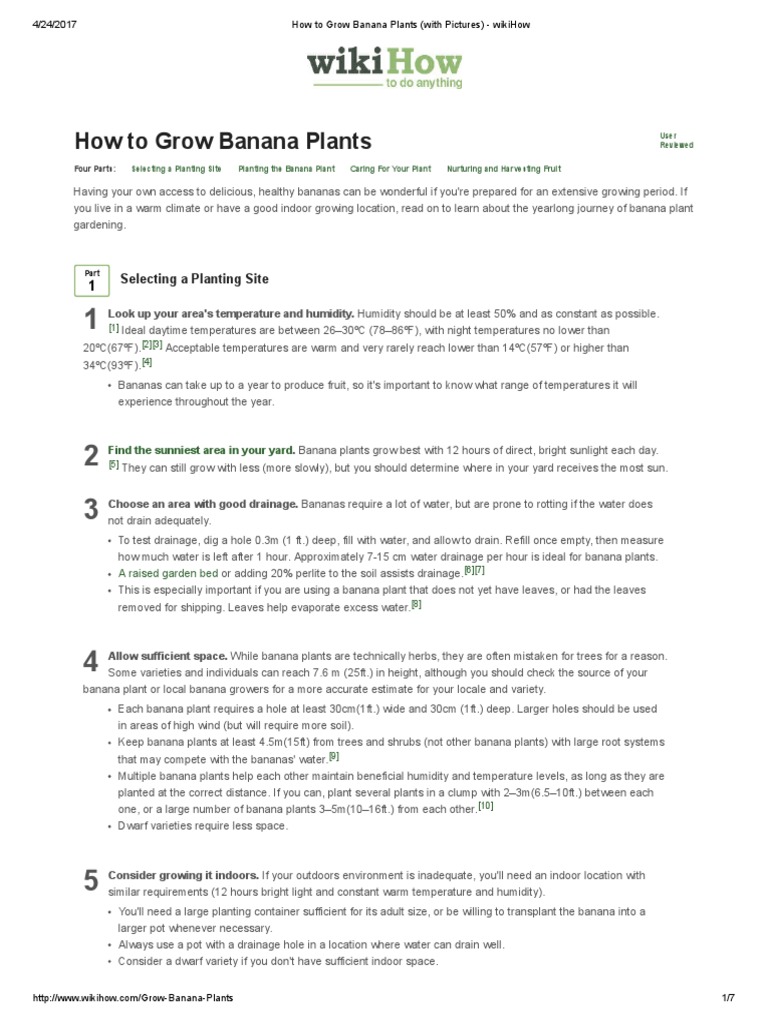 banana.pdf | Banana | Fertilizer | Free 30-day Trial | Scribd