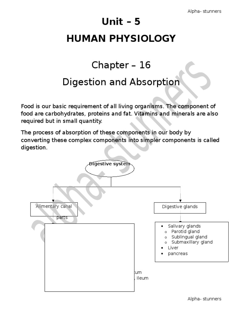 Chapter - 16 Digestion and Absorption: Unit - 5 Human Physiology | PDF ...