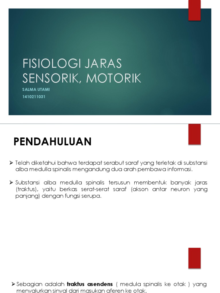 Fisiologi Jaras Sensorik, Motorik | PDF