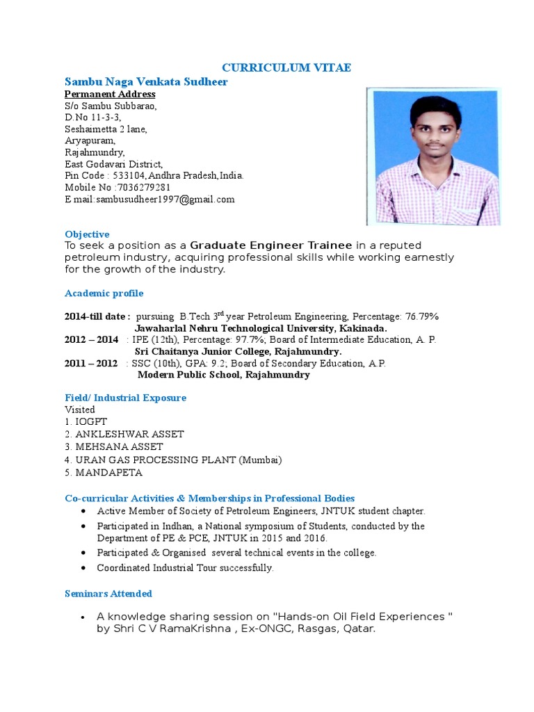 Sudheer CV | PDF | Hydrocarbons | Natural Gas
