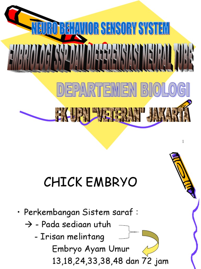 Embriologi SSP & Diferensiasi Neural Tube (BIOLOGI UPN) | PDF