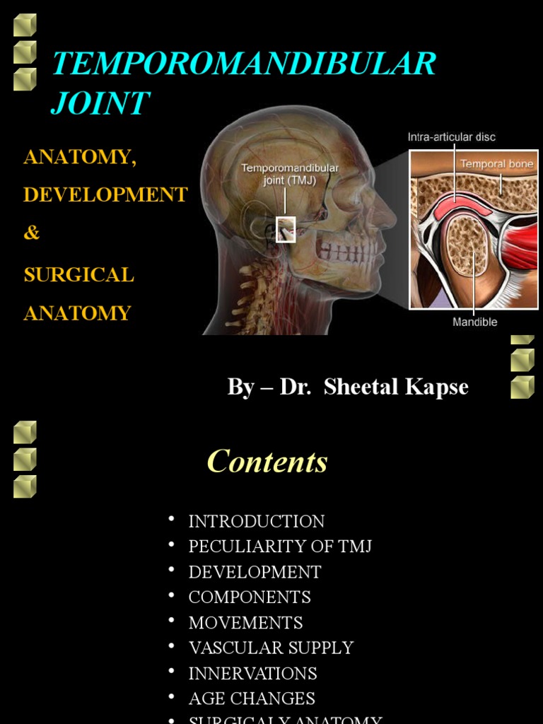 tmj-ppt-130516130311-phpapp02 | Primate Anatomy | Human Head And Neck