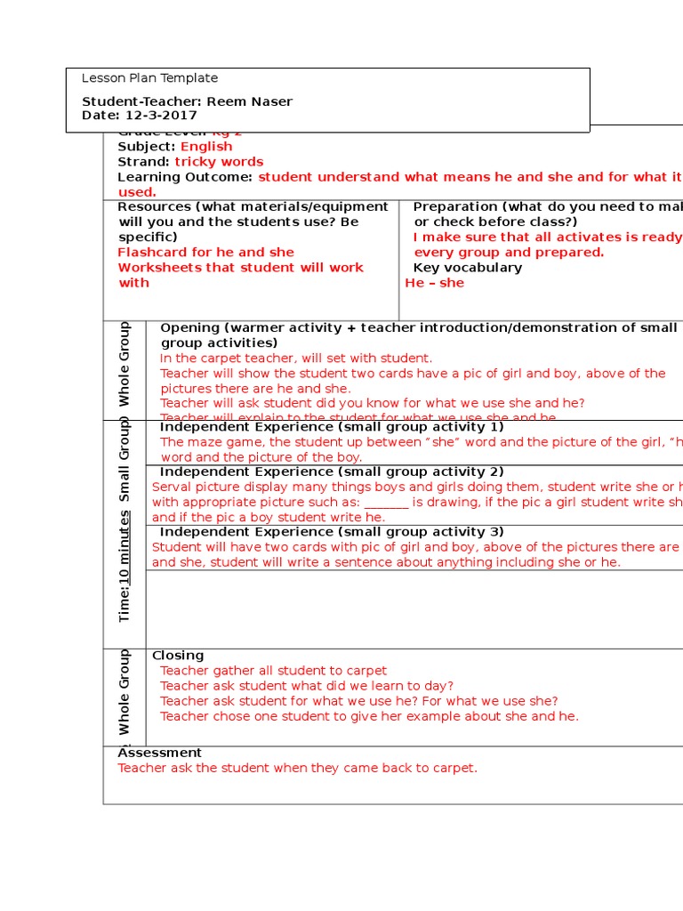 He and She Lesson Plan | PDF | Lesson Plan | Quality Of Life
