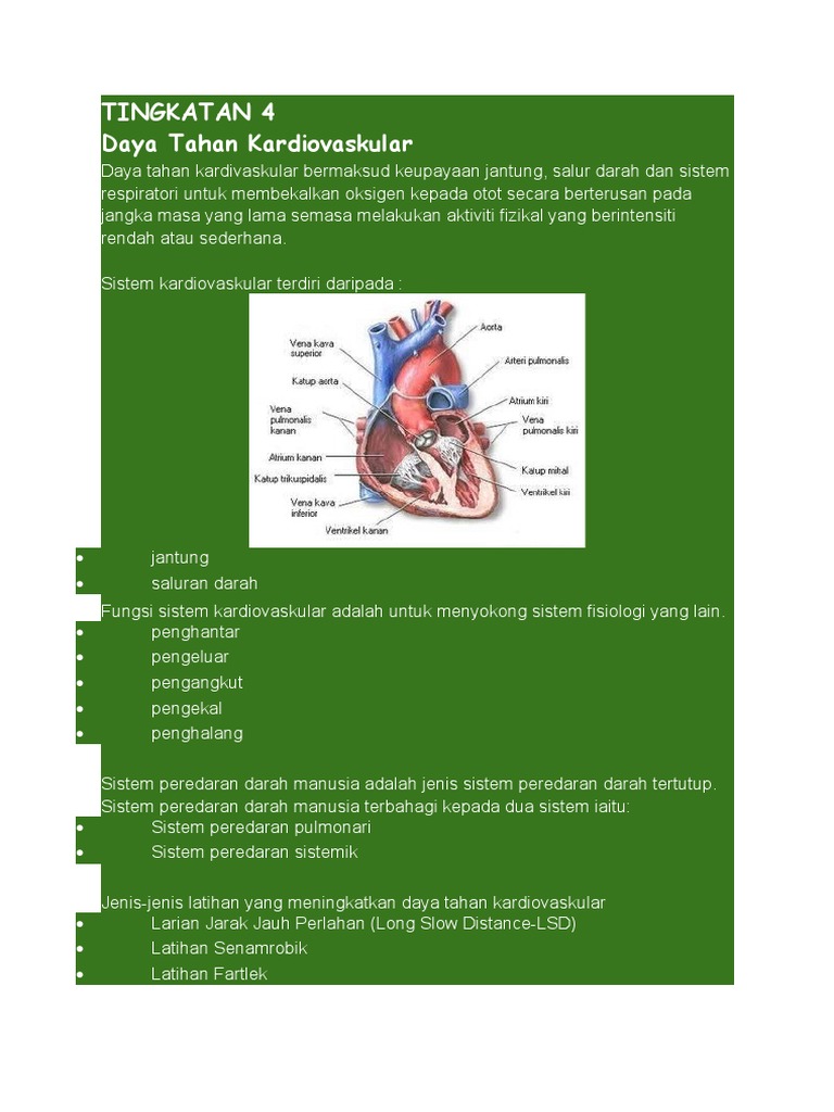 Latihan Daya Tahan Kardiovaskular | PDF