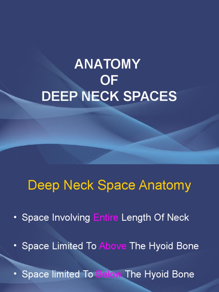 Anatomy of Deep Neck Spaces | PDF | Social Science