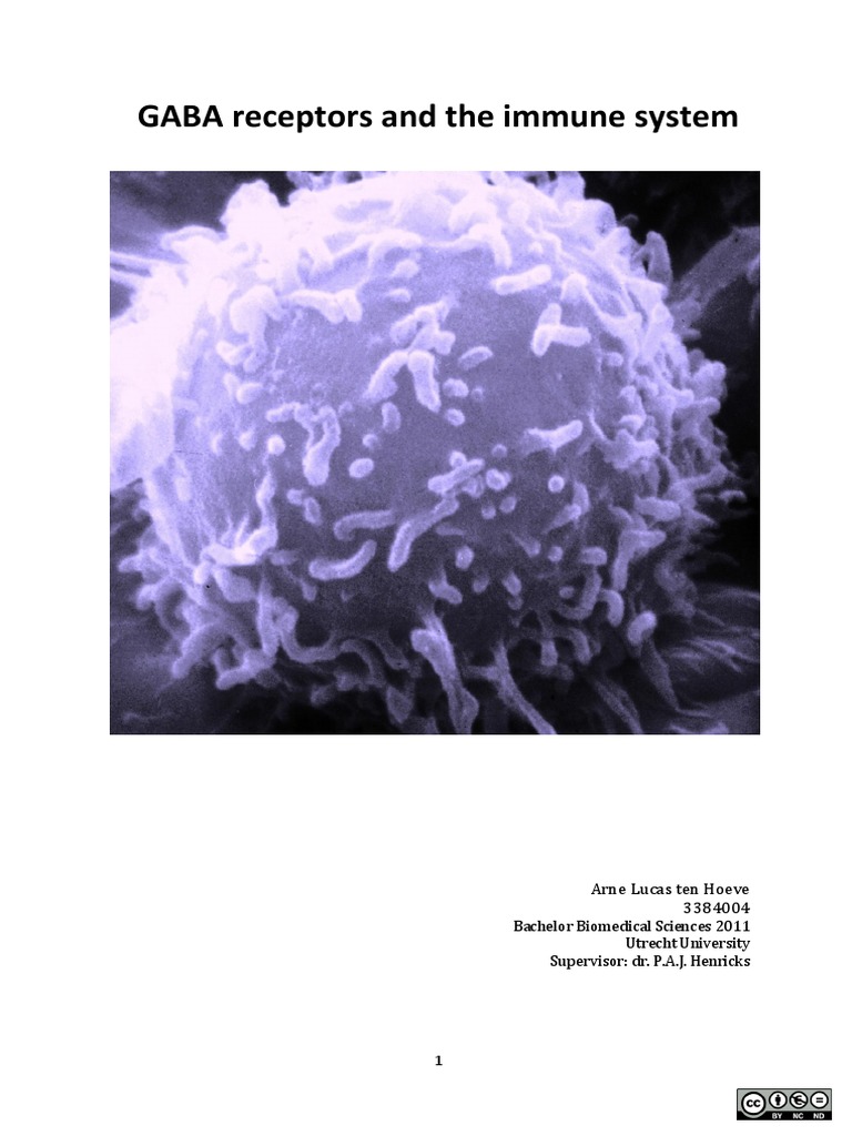 GABA Receptors and The Immune System-012012 | PDF | Gamma Aminobutyric ...