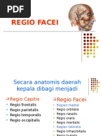 Regio Kepala Dan Leher Anatomi Topografi | PDF