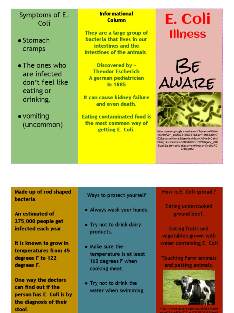 Illness: E. Coli | PDF | Escherichia Coli | Foodborne Illness
