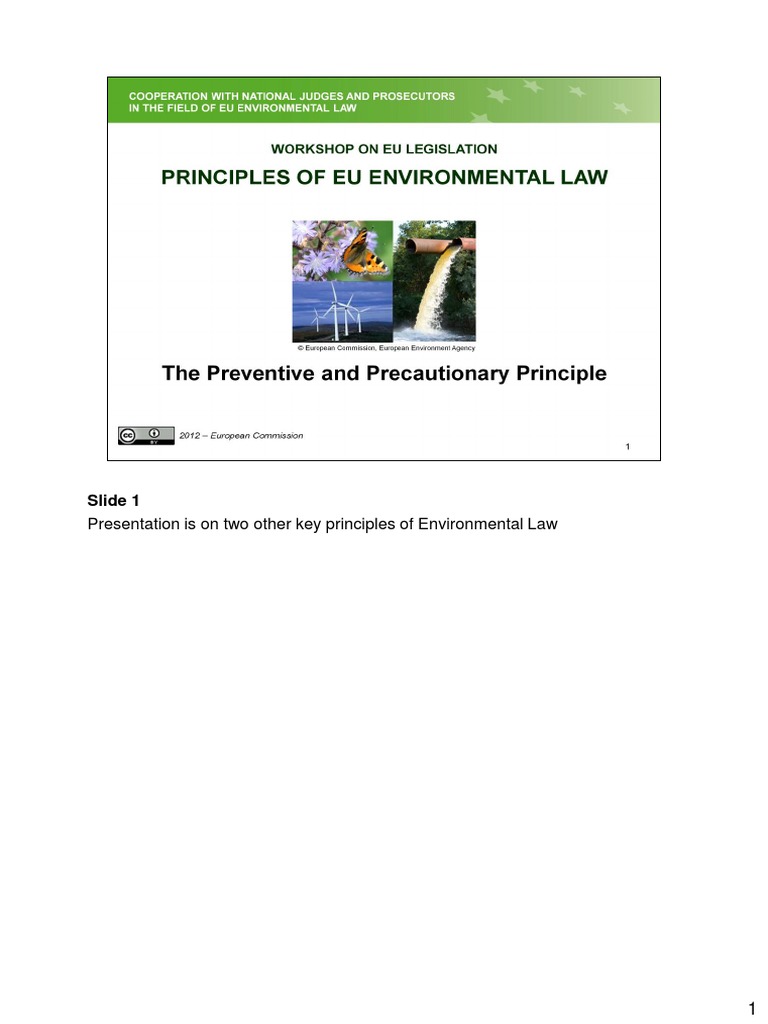 9 Preventive and Precautionary Principles Revised | PDF | International ...