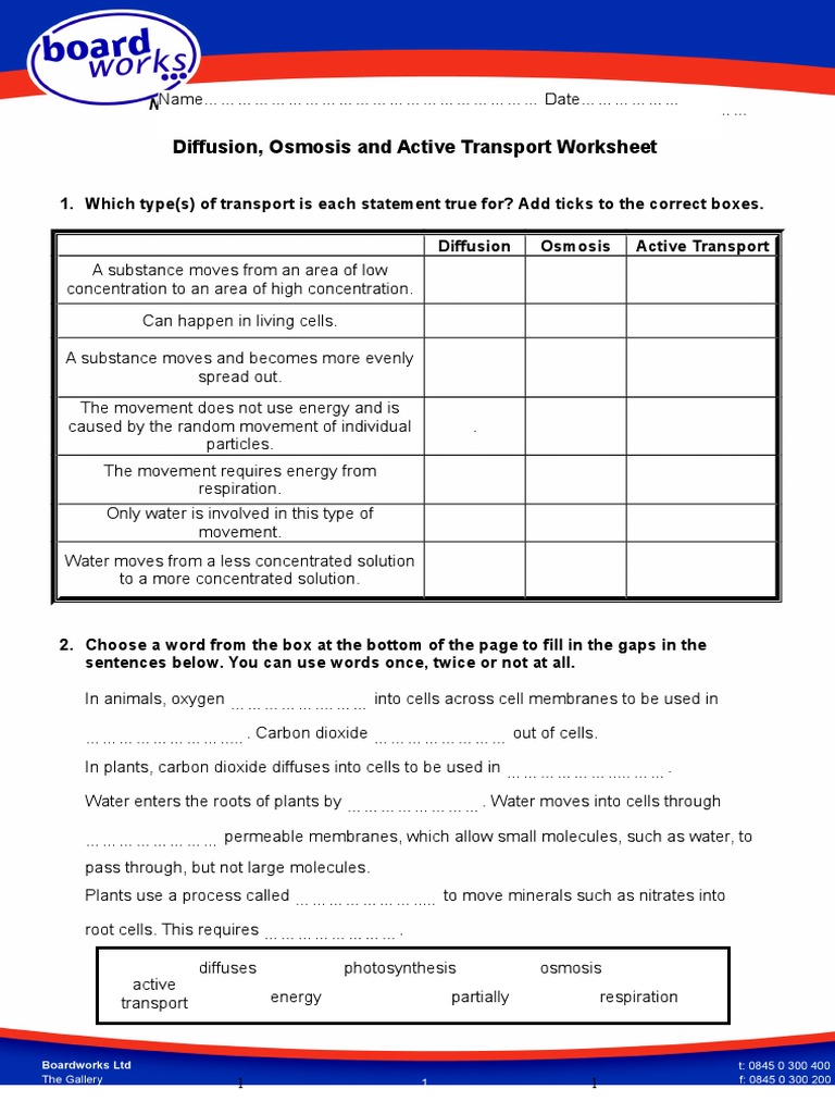 Grade 9 Diffusion Osmosos Worksheet | PDF | Osmosis | Applied And ...