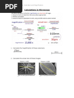 Calculation-Magnification-Qs Pack-Gcse | PDF | Micrograph | Cell (Biology)