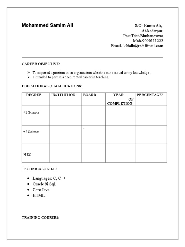 Technical Resume Format 3 | PDF