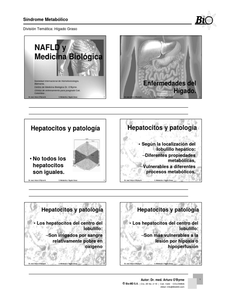 Higado Graso-Chile-. - PDF PDF | PDF | Hígado | Enfermedades y trastornos