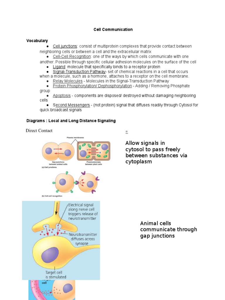 Cell-Cell Recognition: One of The Ways by Which Cells Communicate With ...