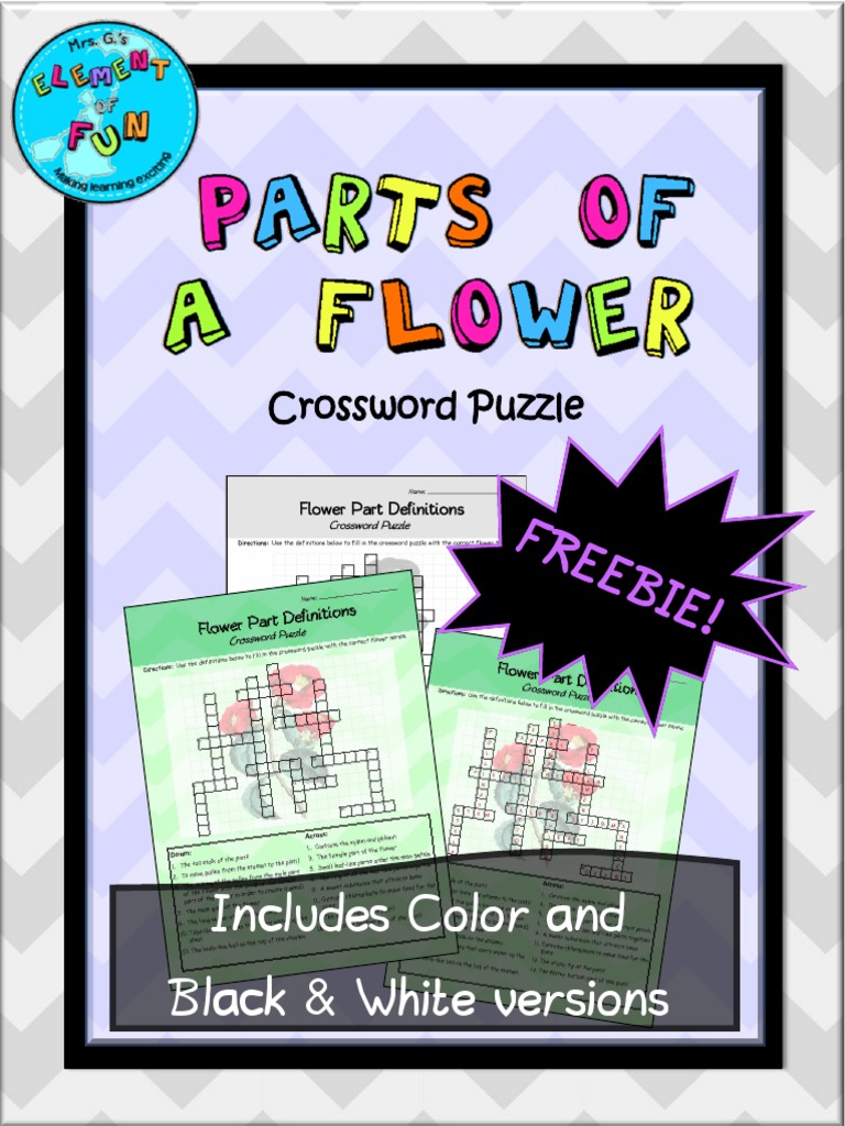 Flower Parts Crossword Puzzle | PDF | Flowers | Plant Stem