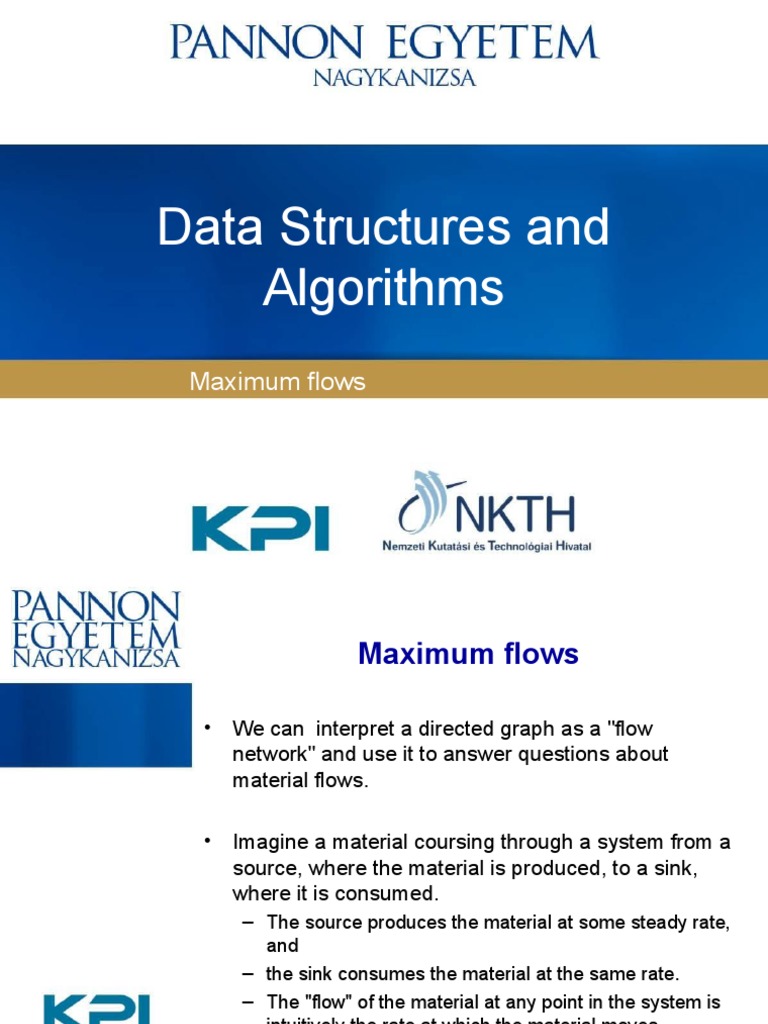 Data Structures and Algorithms: Maximum Flows | PDF | Visual Cortex | Computational Problems