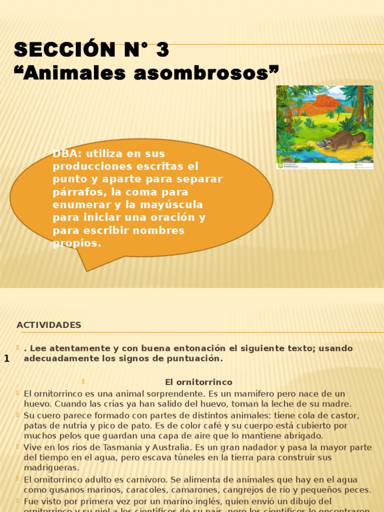 Presentación Sección 3 Animales Asombrosos | PDF | Organismos | Naturaleza