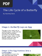 Caterpillar Life Cycle Stages Explained | PDF