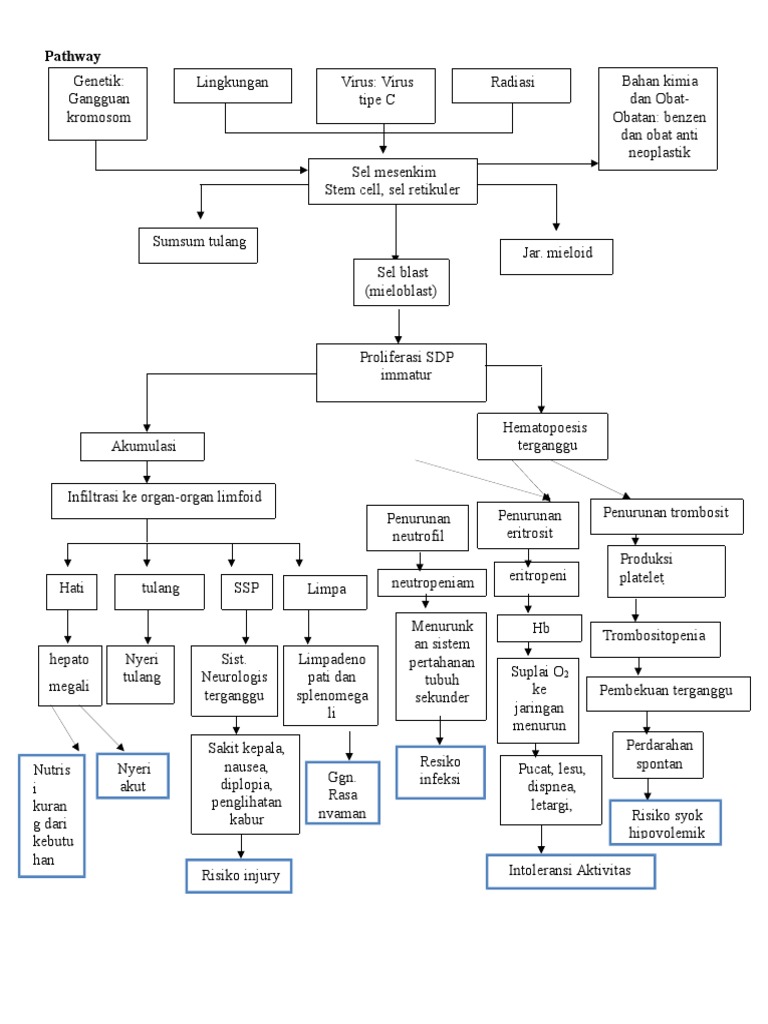 Pathway Aml | PDF