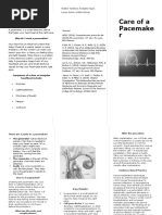 Pacemaker Block Diagram Explanation | PDF