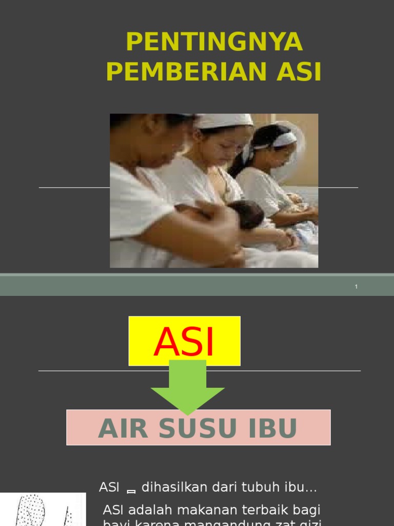 22 PPT Asi Eksklusif | PDF