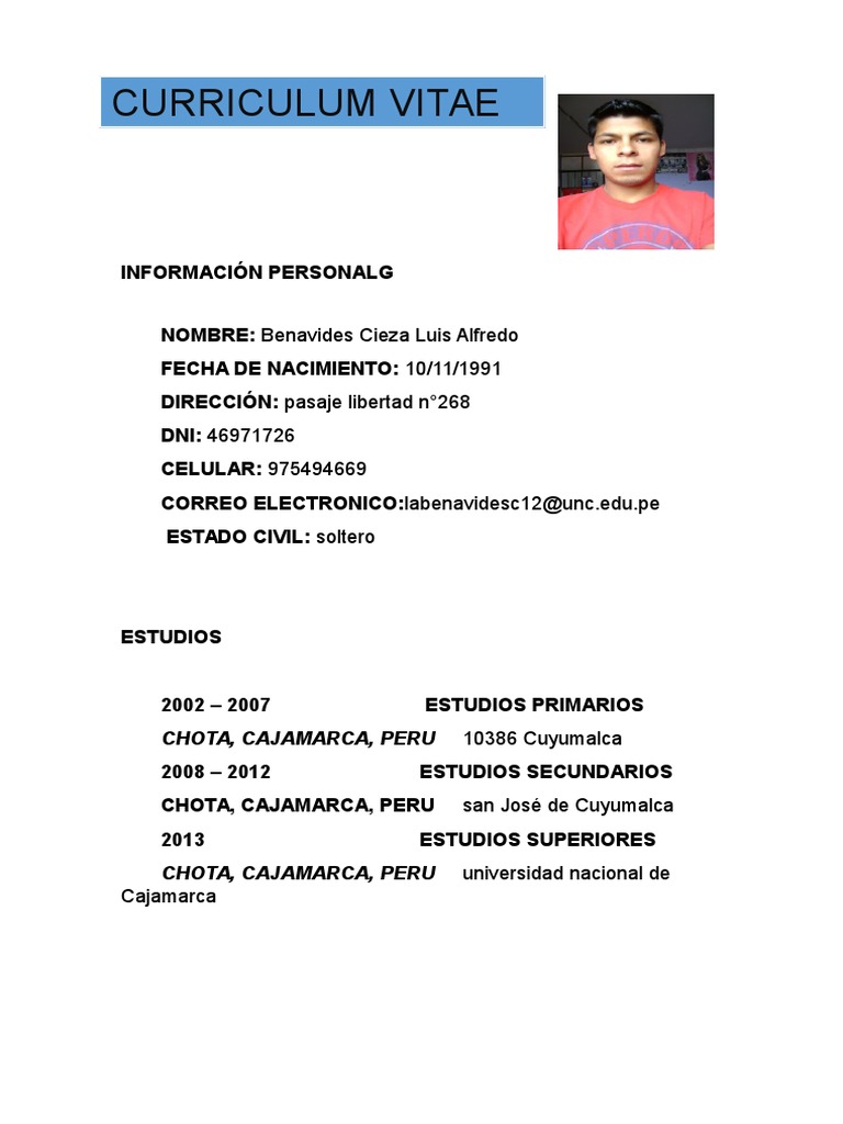 Curriculum Vitae LUIS | PDF
