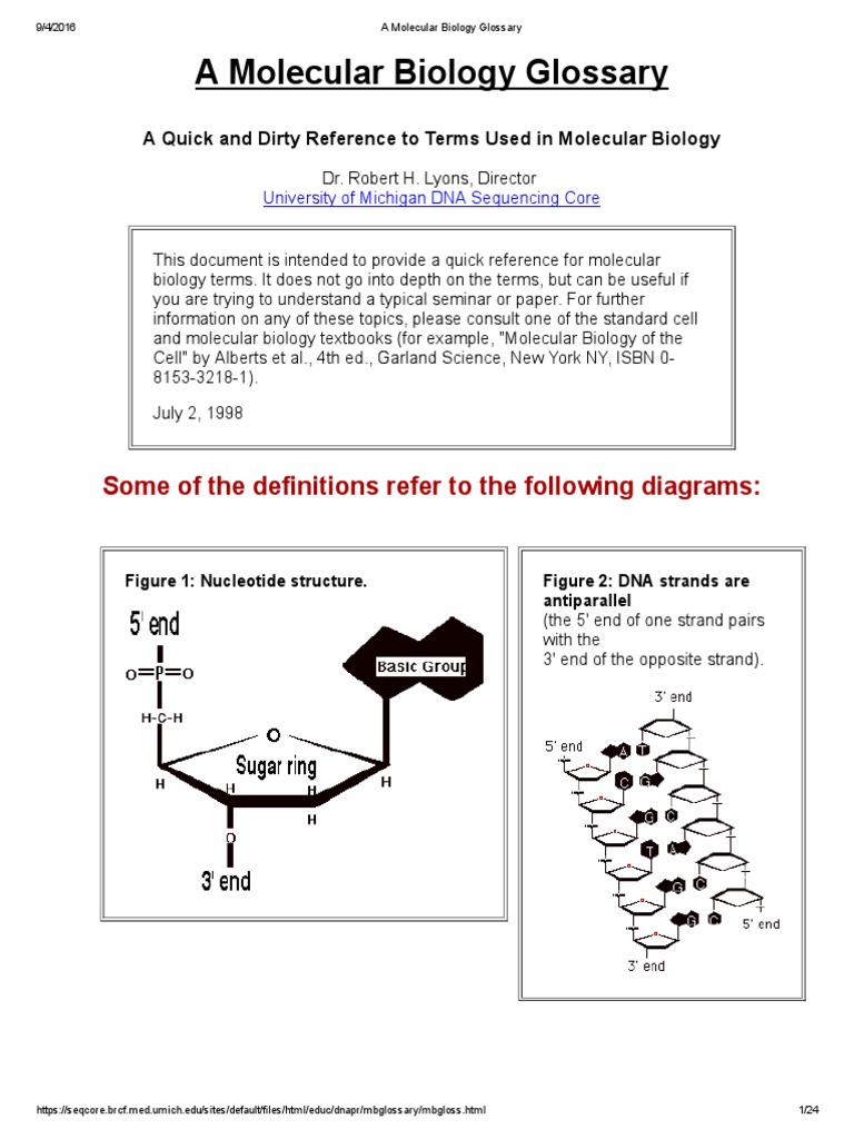 Molecular Biology Terms Glossary | PDF | Directionality (Molecular ...
