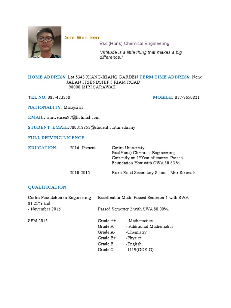 Curriculum Vitea | PDF | Curriculum | Further Education