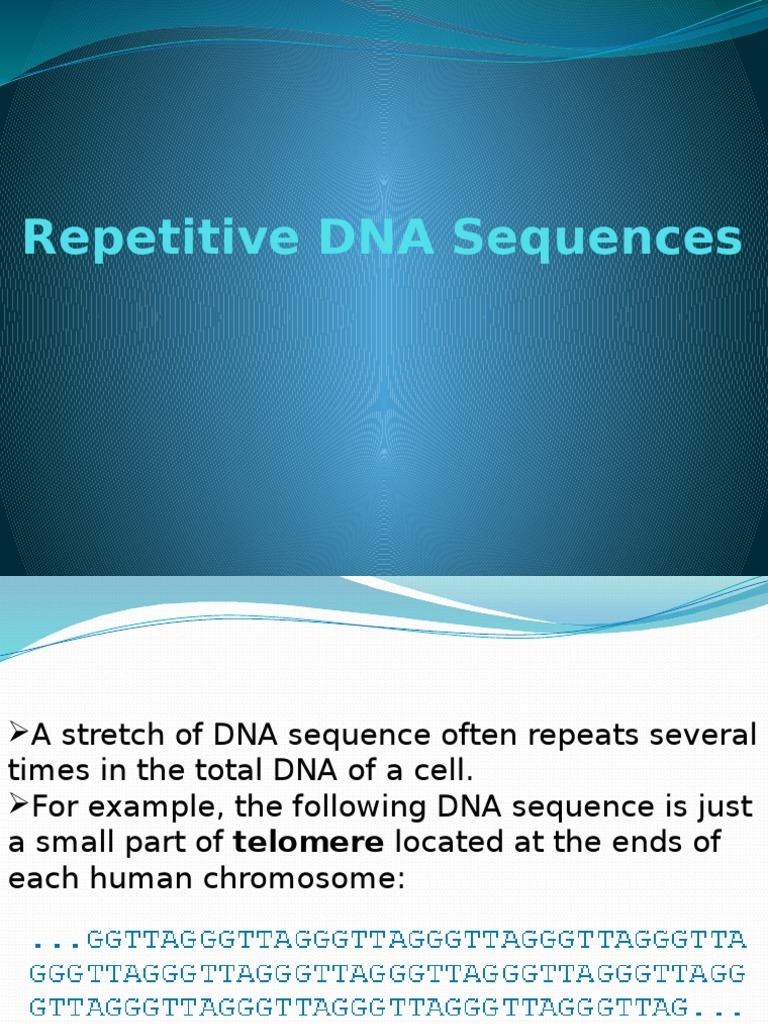 Repetitive DNA Sequences | PDF | Microsatellite | Macromolecules