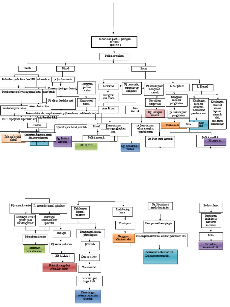 Pathway Cva Ich Umum | PDF