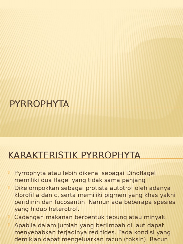 Pyrrophyta | PDF