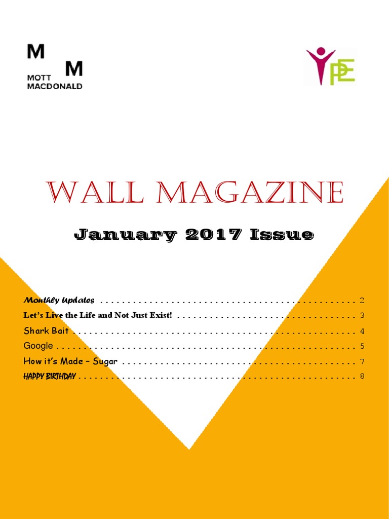 Wall Magazine-Jan 2017 | Search Engine Optimization | Ad Words