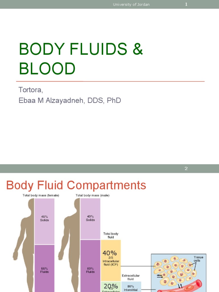 Blood and Body Fluids-Nurs-Ebaa | PDF | Coagulation | White Blood Cell