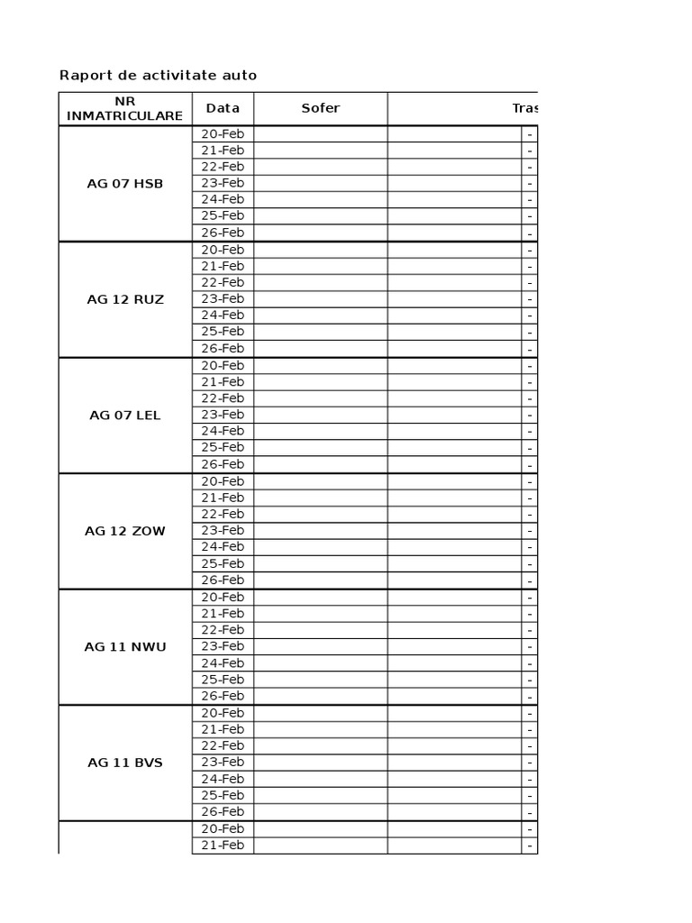 Raport de Activitate Auto Saptamanal | PDF