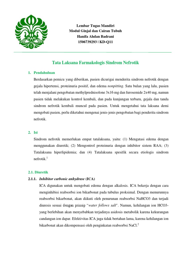 PBL-3 Tata Laksana Farmakologis Sindrom Nefrotik | PDF