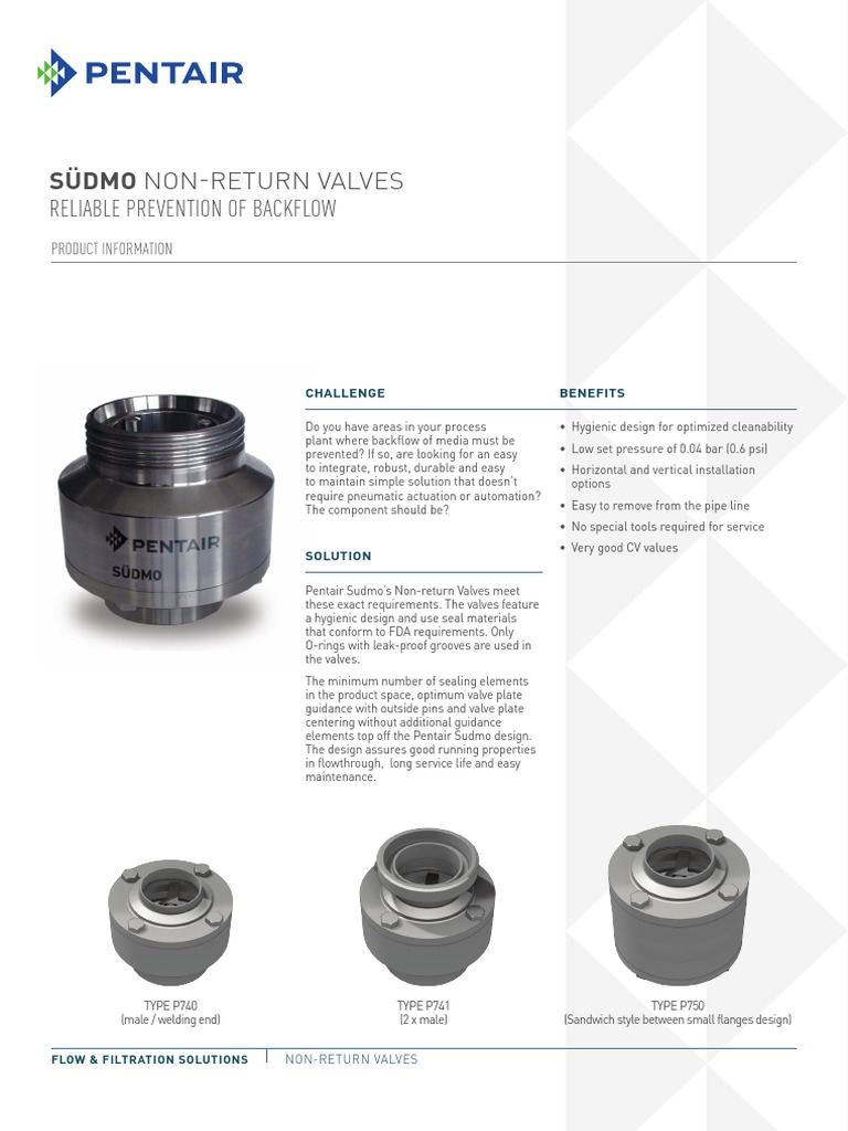 Non-Return Valve en | PDF | Valve | Gas Technologies