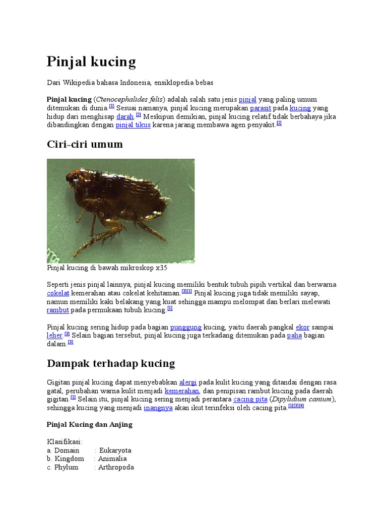 Pinjal Kucing: Fakta dan Dampaknya | PDF | Griya & Taman | Sains ...