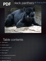 Adaptations of A Black Panther | PDF | Leopard | Cougar