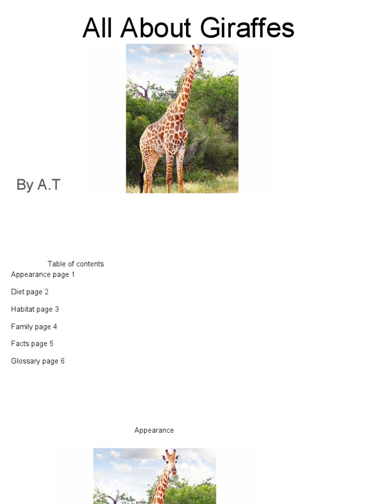 Giraffes | PDF