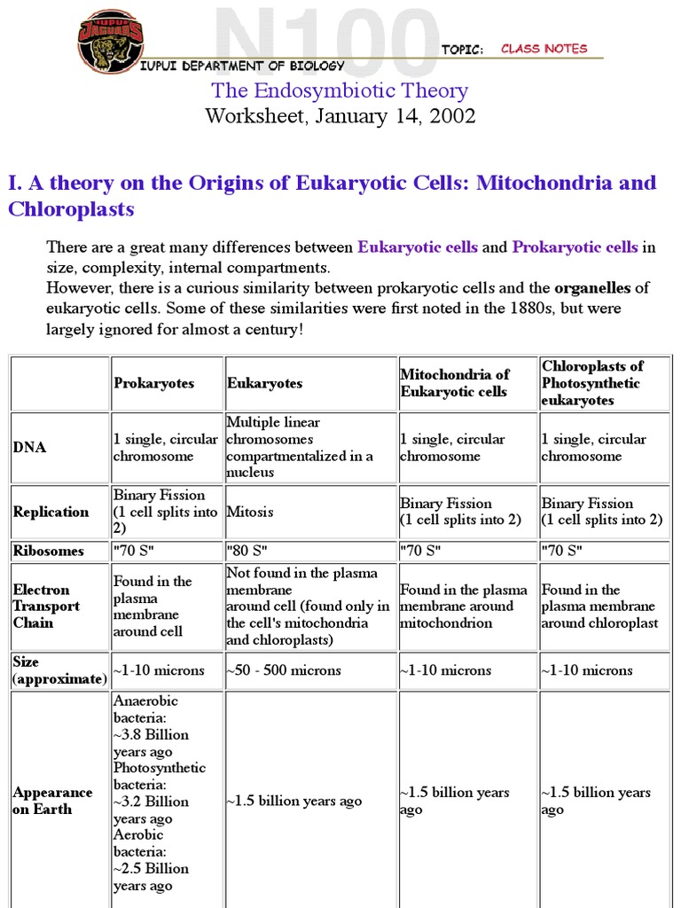Endosymbiotic Theory | PDF | Eukaryotes | Cell (Biology)
