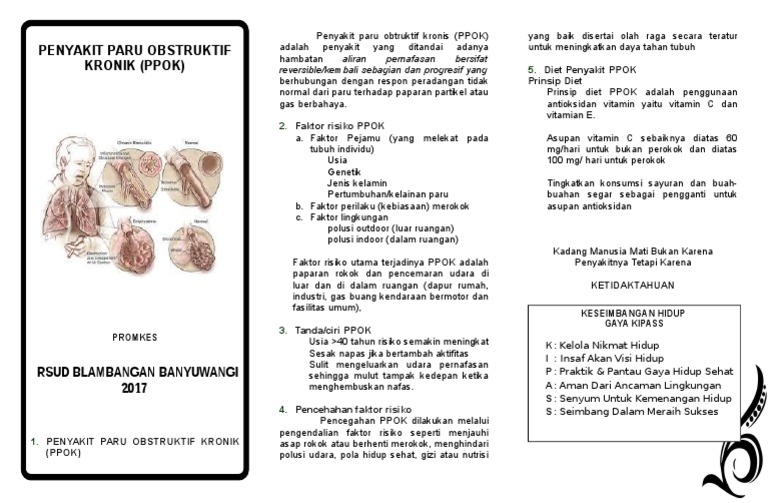 Leaflet Ppok | PDF