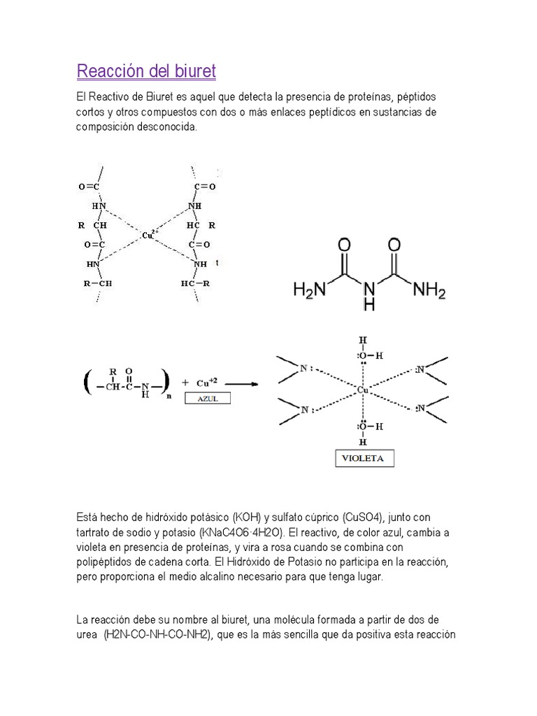Reacción del Biuret en Proteínas | PDF | Péptido | Proteínas