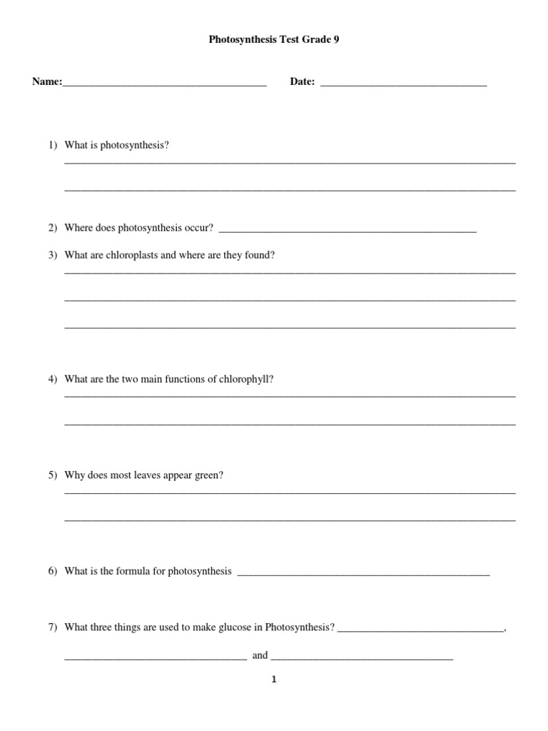 Grade 9 Photosynthesis Test | PDF