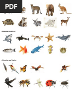10 Animales Que Nadan | PDF