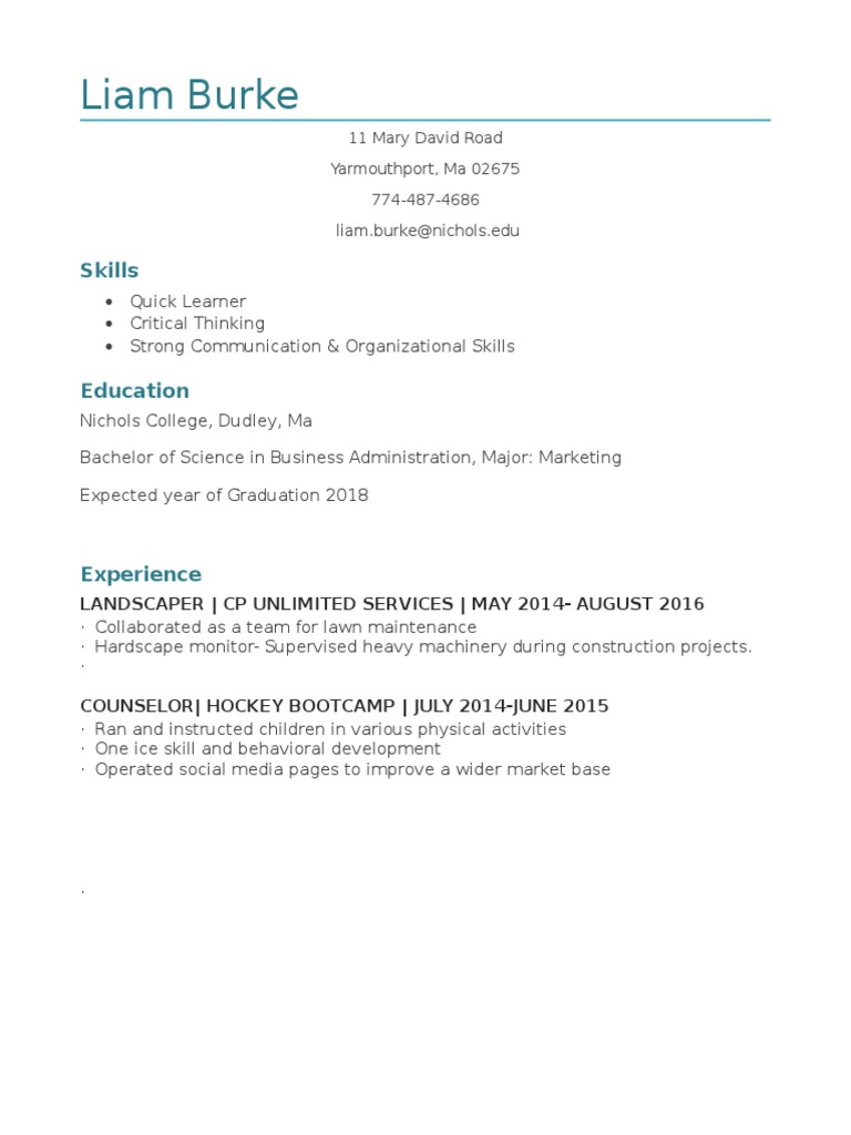 Liam Burke's Resume Summary | PDF